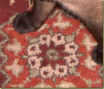 True Colors Thursday – Rust – Spacial Peepol